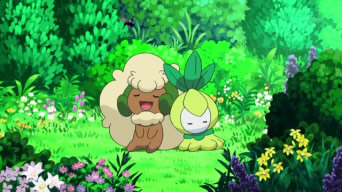 Archivo:EP742 Whimsicott y Petilil dormiendo.jpg - WikiDex, la enciclopedia Pokémon