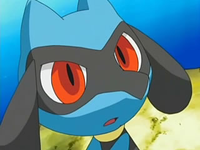 Archivo:EP540 Riolu (2).png - WikiDex, la enciclopedia Pokémon