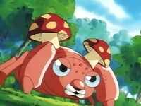 Archivo:EP044 Paras (3).png - WikiDex, la enciclopedia Pokémon