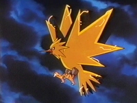 Archivo:EP244 Zapdos (2).jpg - WikiDex, la enciclopedia Pokémon