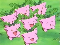 Hoppip de Mariah - WikiDex, la enciclopedia Pokémon