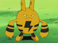 Casey - WikiDex, la enciclopedia Pokémon