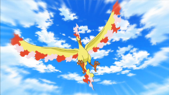 Archivo:EP889 Moltres (2).png - WikiDex, la enciclopedia Pokémon