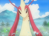 Milotic de Wallace/Plubio - WikiDex, la enciclopedia Pokémon