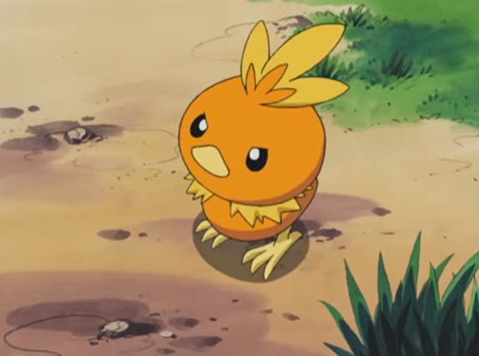 Archivo:EP310 Torchic (2).jpg - WikiDex, la enciclopedia Pokémon