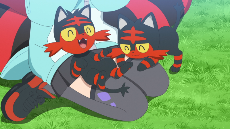 Archivo:EP1329 Litten.png - WikiDex, la enciclopedia Pokémon