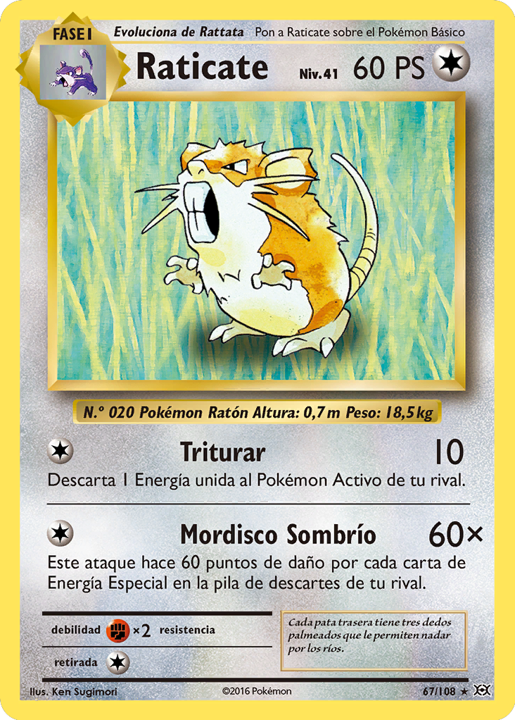 Raticate (Evoluciones TCG) - WikiDex, la enciclopedia Pokémon