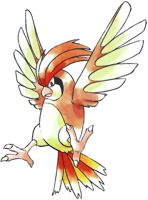 Archivo:Pidgeotto en la primera generación.png - WikiDex, la enciclopedia Pokémon