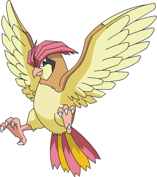 Archivo:Pidgeotto (anime RZ).png - WikiDex, la enciclopedia Pokémon