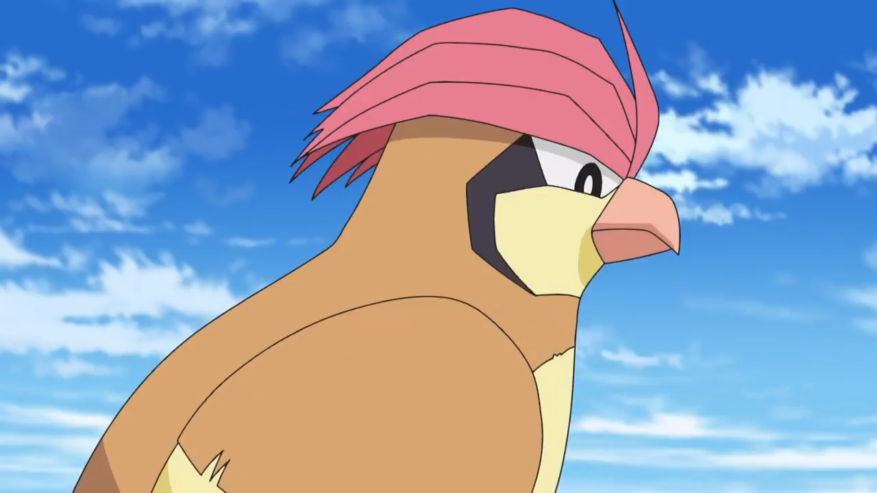 Archivo:EP1095 Pidgeotto.png - WikiDex, la enciclopedia Pokémon