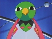 Categoría:Pokémon de Calista - WikiDex, la enciclopedia Pokémon