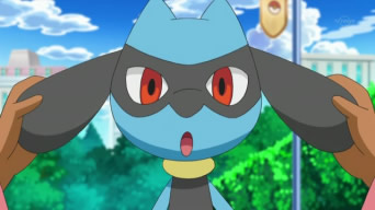 Archivo:EP755 Riolu de Kotetsu.png - WikiDex, la enciclopedia Pokémon