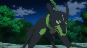 Archivo:EP897 Zygarde al 10%.png - WikiDex, la enciclopedia Pokémon