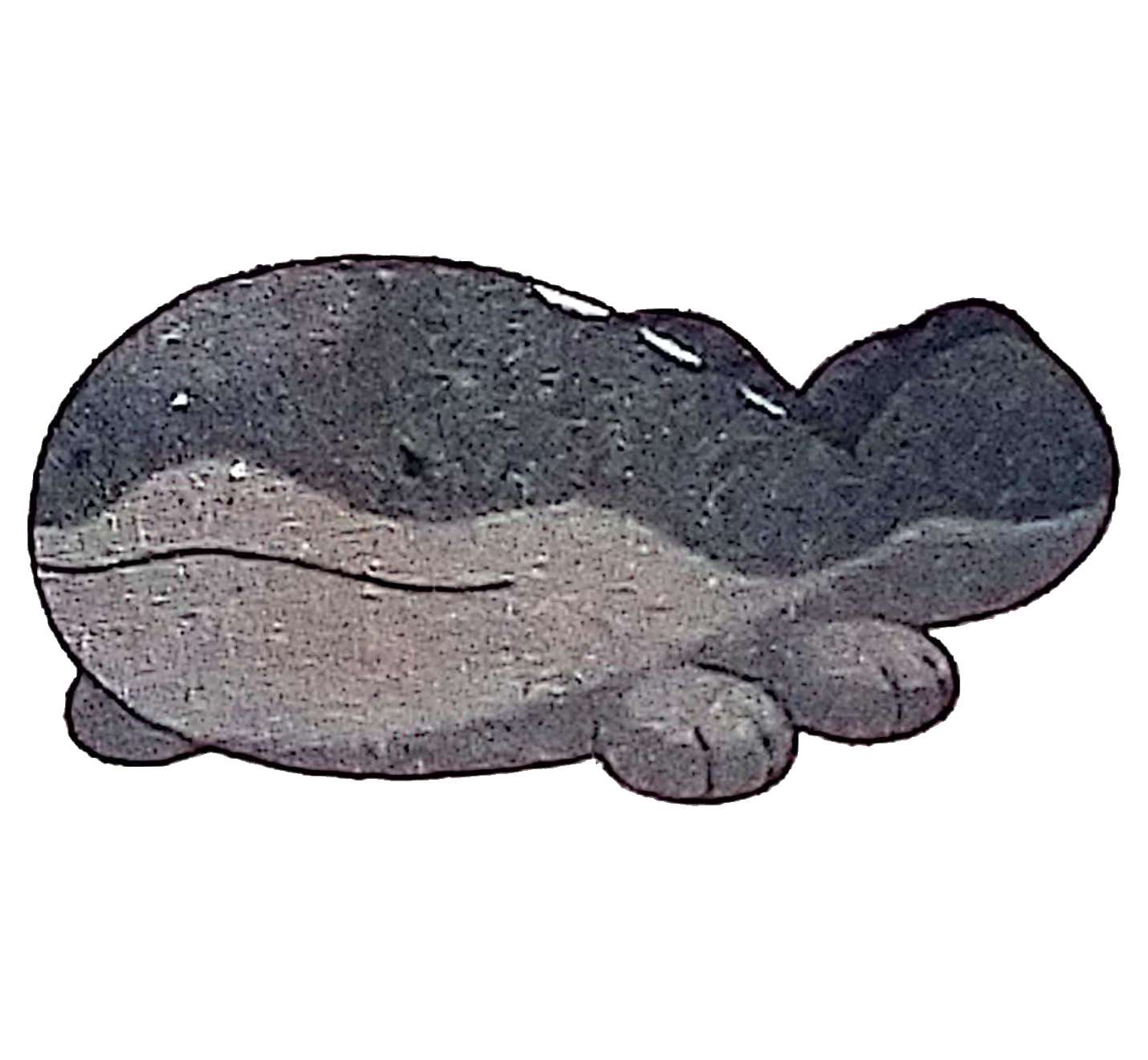 Archivo:Clodsire.png - WikiDex, la enciclopedia Pokémon