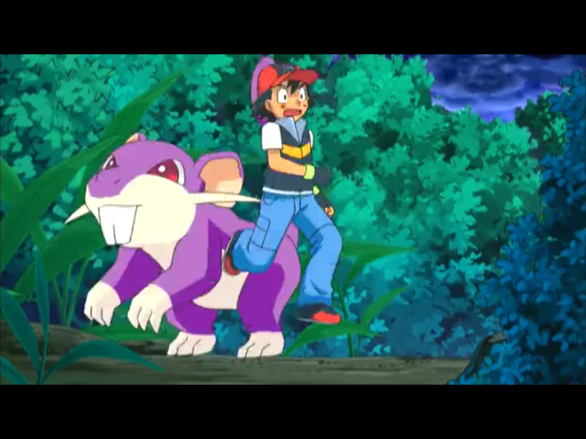 Archivo:EP609 Rattata.jpg - WikiDex, la enciclopedia Pokémon