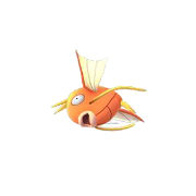 Archivo:Magikarp GO.png - WikiDex, la enciclopedia Pokémon