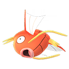 Archivo:Magikarp GO.png - WikiDex, la enciclopedia Pokémon