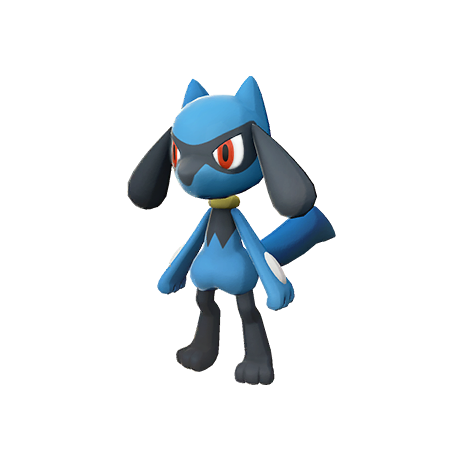 Archivo:Riolu LPA.png - WikiDex, la enciclopedia Pokémon