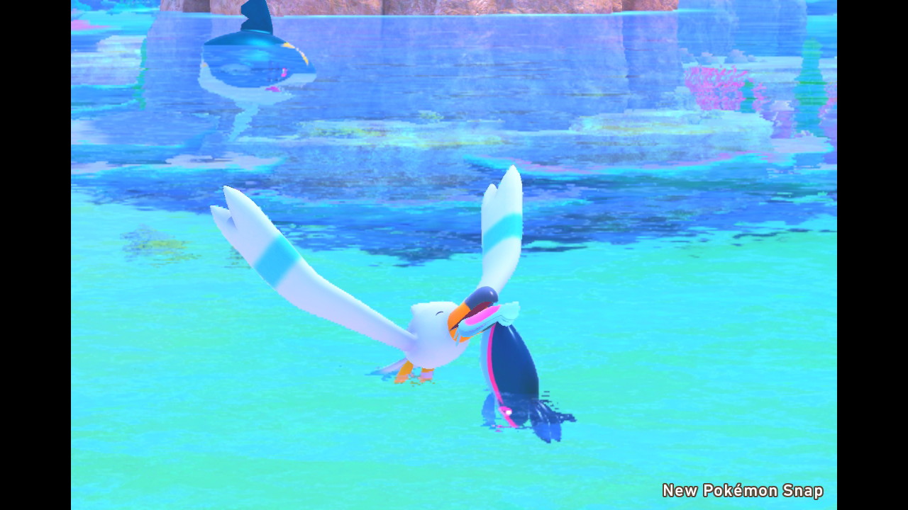 Archivo:Wingull pescando un Finneon NPS.jpg - WikiDex, la enciclopedia ...