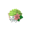 Archivo:Shaymin tierra GO.png - WikiDex, la enciclopedia Pokémon