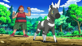 Archivo:EP691 Blitzle.png - WikiDex, la enciclopedia Pokémon