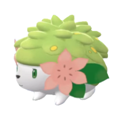 Archivo:Shaymin tierra DBPR.png - WikiDex, la enciclopedia Pokémon