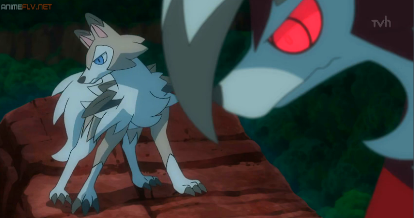 Archivo:EP958 Lycanroc Forma Nocturna Y Diurna Observando.png - WikiDex ...
