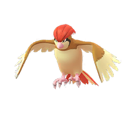 Archivo:Pidgeotto GO.png - WikiDex, la enciclopedia Pokémon