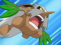 Archivo:EP433 Shiftry de Ángela (2).png - WikiDex, la enciclopedia Pokémon