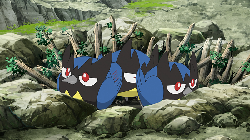 Archivo:EP1189 Rookidee.png - WikiDex, la enciclopedia Pokémon