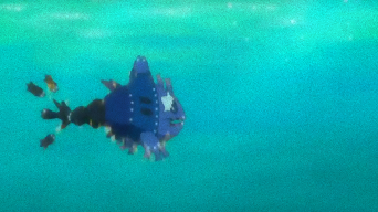 Archivo:EP976 Wishiwashi.png - WikiDex, la enciclopedia Pokémon