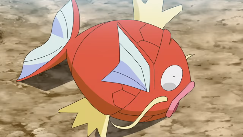 Archivo:EP1113 Magikarp Gigante.png - WikiDex, la enciclopedia Pokémon