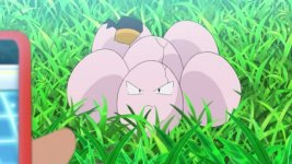 Archivo:EP1110 Exeggcute.png - WikiDex, la enciclopedia Pokémon