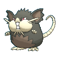 Archivo:Raticate de Alola SL.png - WikiDex, la enciclopedia Pokémon