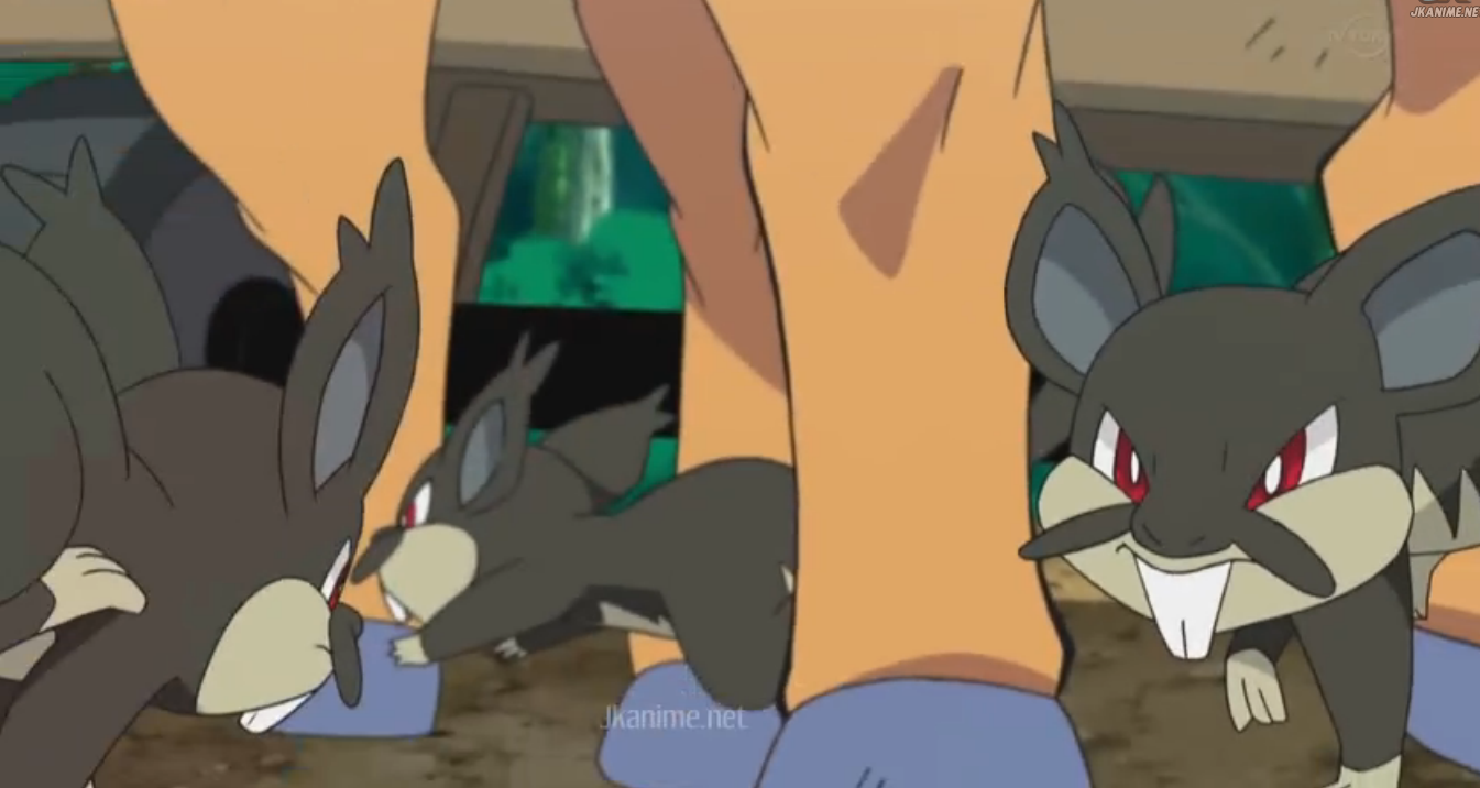 Archivo:EP952 Rattata alola 1.png - WikiDex, la enciclopedia Pokémon