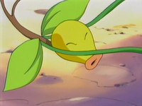 Archivo:EP286 Bellsprout de Anthony.png - WikiDex, la enciclopedia Pokémon
