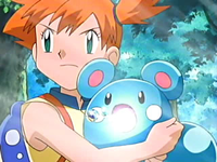 Archivo:EP411 Azurill de Misty usando burbuja.png - WikiDex, la ...