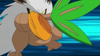 Archivo:EP593 Shiftry de Ō.jpg - WikiDex, la enciclopedia Pokémon