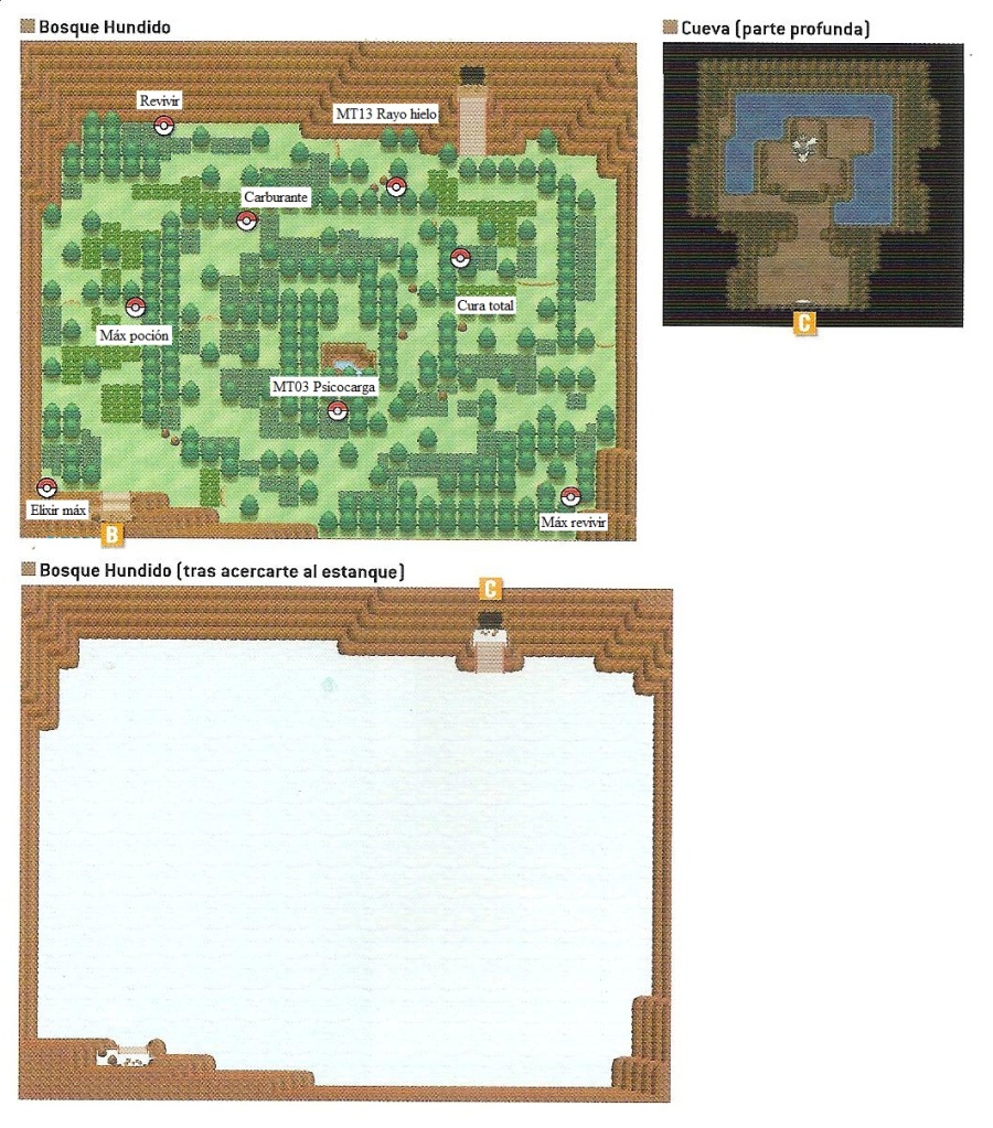 Archivo:Boquete Gigante (bosque).jpg - WikiDex, la enciclopedia Pokémon
