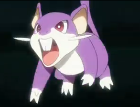 Archivo:PO01 Rattata de Rojo.png - WikiDex, la enciclopedia Pokémon