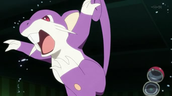 Archivo:PO01 Rattata de Rojo.png - WikiDex, la enciclopedia Pokémon
