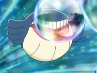 Archivo:EP547 Wailmer.png - WikiDex, la enciclopedia Pokémon