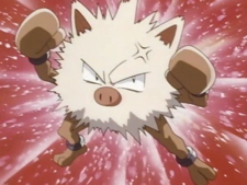 Archivo:EP025 Primeape.png - WikiDex, la enciclopedia Pokémon