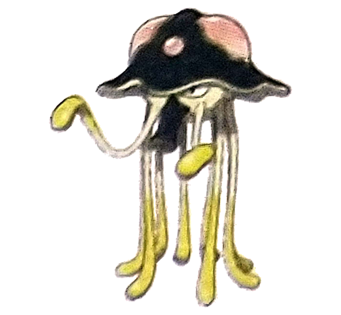 Archivo:Toedscruel.png - WikiDex, la enciclopedia Pokémon