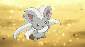 Archivo:EP752 Cinccino.png - WikiDex, la enciclopedia Pokémon