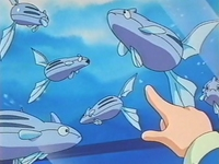 Archivo:EP217 Remoraid (3).png - WikiDex, la enciclopedia Pokémon