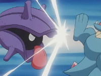 Archivo:EP217 Shellder.png - WikiDex, la enciclopedia Pokémon