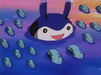 Archivo:EP216 Mantine y Remoraid (3).png - WikiDex, la enciclopedia Pokémon