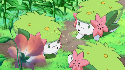 Archivo:EP637 Varios Shaymin.png - WikiDex, la enciclopedia Pokémon