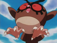 Categoría:Hoothoot - WikiDex, la enciclopedia Pokémon